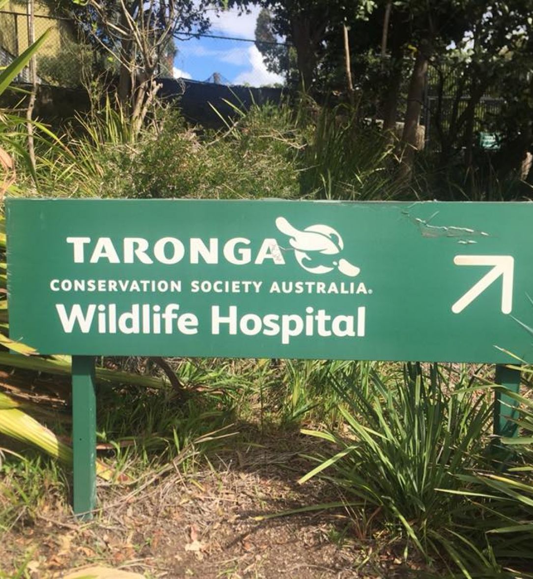 Taronga Zoo Project - MH Custom Enclosures